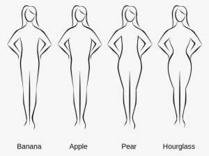 File - Bodyshapes - Svg - Different Types Of Body Curves PNG Image ...
