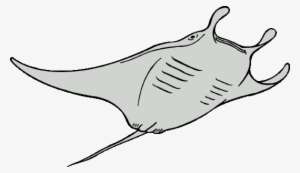Devil Ray Clipart - Manta Ray Clipart PNG Image | Transparent PNG Free ...
