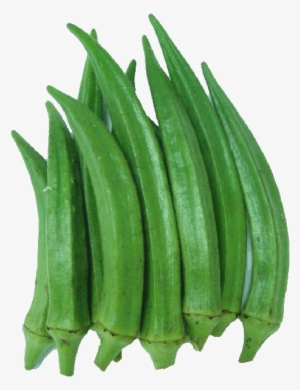 Lady Finger - Ladies Finger PNG Image | Transparent PNG Free Download ...