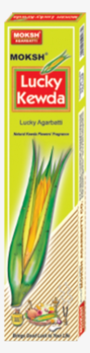 Kewda Flower PNG Image | Transparent PNG Free Download on SeekPNG