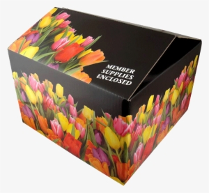 Creative Shipping Box Designs For Your Company - Custom Shipping Boxes ...