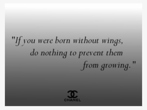 Brainy Quotes Life - Brainy Quote Of The Day PNG Image | Transparent ...