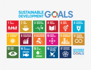 Department Goals And Objectives Examples 22771 - Development Goals ...