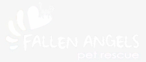Fallen Angels Logo - Graphic Design PNG Image | Transparent PNG Free ...