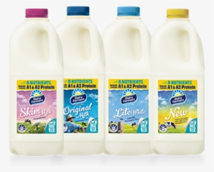 Milk - Milk Products PNG Image | Transparent PNG Free Download on SeekPNG