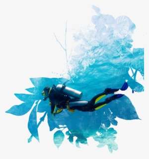 Img - Scuba Diving PNG Image | Transparent PNG Free Download on SeekPNG