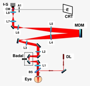 Schematic Diagram Of The Adaptive Optics System - Adaptive Optics Eye ...