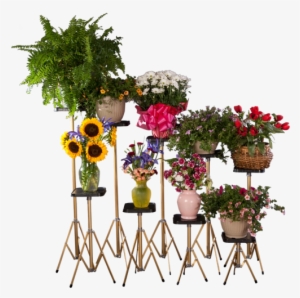 Flower Stand - Flower Stand Png PNG Image | Transparent PNG Free ...