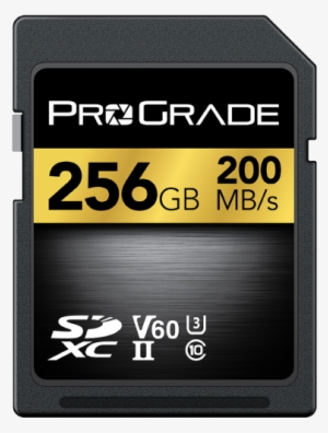 Prograde Digital PNG Image | Transparent PNG Free Download on SeekPNG