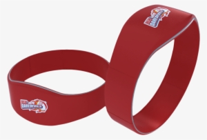 Delhi Daredevils PNG Image | Transparent PNG Free Download on SeekPNG