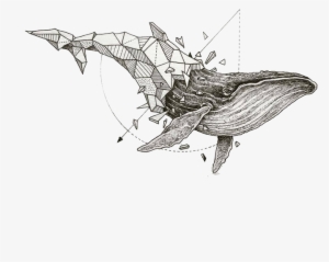 Drawing Geometry Watercolor - Kerby Rosanes Geometric Beasts PNG Image ...