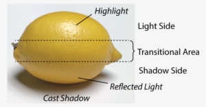 Lemon Chart - Lemon PNG Image | Transparent PNG Free Download on SeekPNG