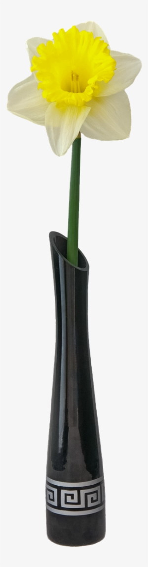 Florero Con Flor Png PNG Image | Transparent PNG Free Download on SeekPNG