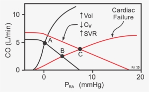 Cardiac And Systemic Vascular Function Curves - Heart Failure Cardiac ...
