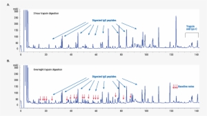 Sample Preparation Method For Accurate Analysis Of - Chromatogram PNG ...
