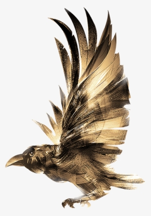 Flying Raven Png - Golden Evening [book] PNG Image | Transparent PNG ...