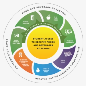 Png - High School Health Infographic PNG Image | Transparent PNG Free ...