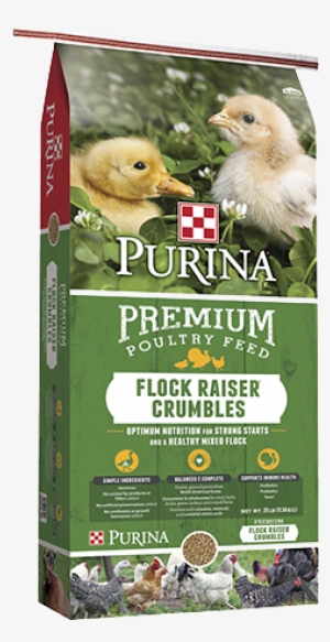 Image Flock Raiser Crumbles Bag - Purina Animal Nutrition Flock Raiser ...