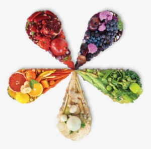 Contains Vitamins, Minerals And Phytonutrients - Nutrilite ...