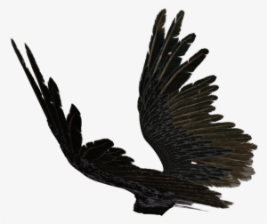 Side Angel Wings Png PNG Image | Transparent PNG Free Download on SeekPNG