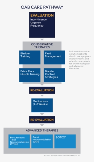 Flowchart Illustrating Care Pathway And Treatment Options - Graphics ...