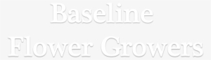 Baseline Flower Growers - Calligraphy PNG Image | Transparent PNG Free ...