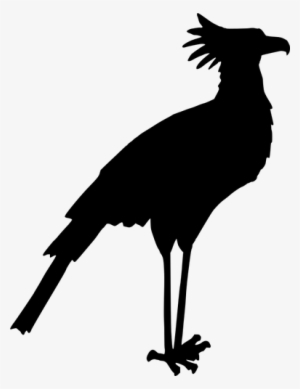 8404 Free Vector Flying Bird Silhouette Public Domain - Secretary Bird ...