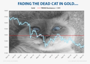 Fade The Dead Cat - Dead Cat Bounce PNG Image | Transparent PNG Free ...