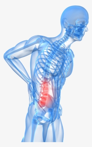 Back Pain Red Woodinville Sport Spine Your Key To Health - Back Pain ...