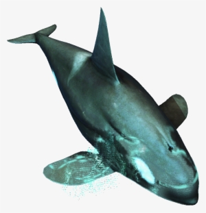 Killer PNG Images | PNG Cliparts Free Download on SeekPNG