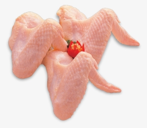 Duck Wings, Drumette - Fresh Chicken Wings PNG Image | Transparent PNG ...