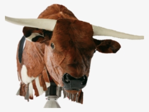 Mechanical Bulls Austin - Bull Riding Silhouette PNG Image ...