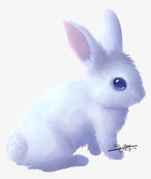 Fat Rabbit Transparent Png Banner Download - Rabbit PNG Image ...