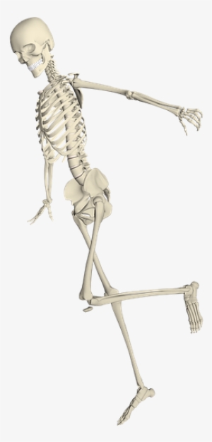 Skeleton Run Transparent Background PNG Image | Transparent PNG Free ...