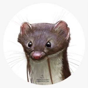 Close Up Weasel - Illustrator PNG Image | Transparent PNG Free Download ...