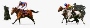 Horse Running No Background PNG Image | Transparent PNG Free Download ...