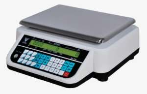 Digi Dc-782 Series Counting Scale - Weighing Scale With Label Printer ...