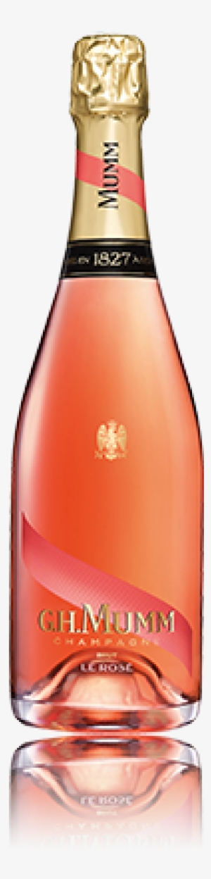 Mumm Rose PNG Image | Transparent PNG Free Download on SeekPNG
