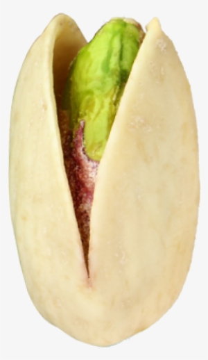 Pistachio Transparent PNG Image | Transparent PNG Free Download on SeekPNG