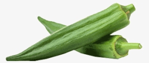 8994-pg - Transparent Okra PNG Image | Transparent PNG Free Download on ...