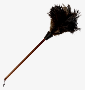Feather Duster Transparent Png PNG Image | Transparent PNG Free ...