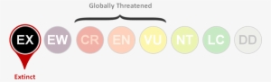 Endangered Status PNG Image | Transparent PNG Free Download on SeekPNG