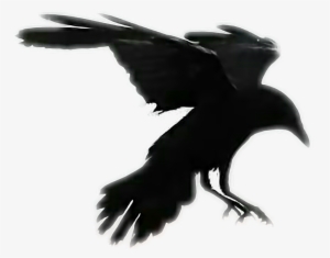 Crow Travis Scott PNG Image | Transparent PNG Free Download on SeekPNG