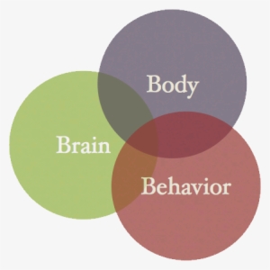 Brain Body And Behavior PNG Image | Transparent PNG Free Download on ...