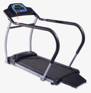 Body Solid T50 Endurance Cardio Walking Treadmill - Body Solid ...