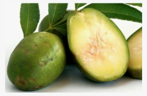 Sale - June Plum Png PNG Image | Transparent PNG Free Download on SeekPNG