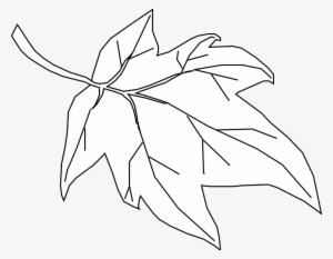 Free Vector Graphic Maple Leaf Outline Tree Nature - Orange Fall Leaves ...