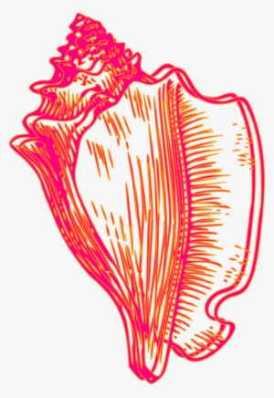 Pink Yellow Conch Shell 2 Clip Art - Conch Png Cartoon PNG Image ...