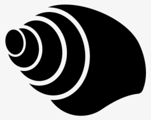 Seashell Conch Vector - Conch Icon Png PNG Image | Transparent PNG Free ...