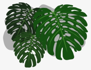 Big Image - Philodendron Leaf Png PNG Image | Transparent PNG Free ...